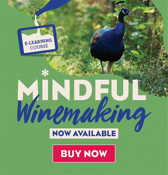 Bibendum Wine Online | Order Drinks Online