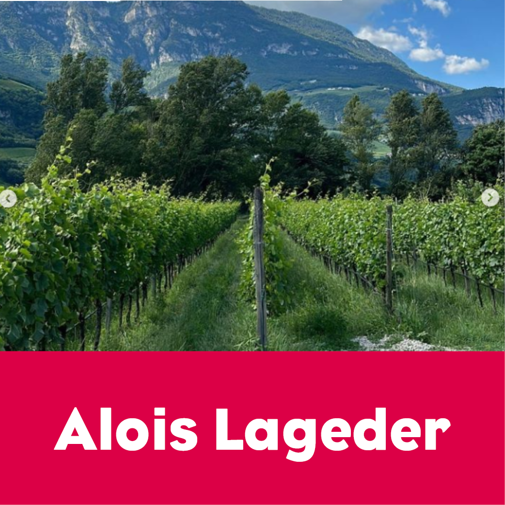 Bibendum Wine Online | Order Drinks Online